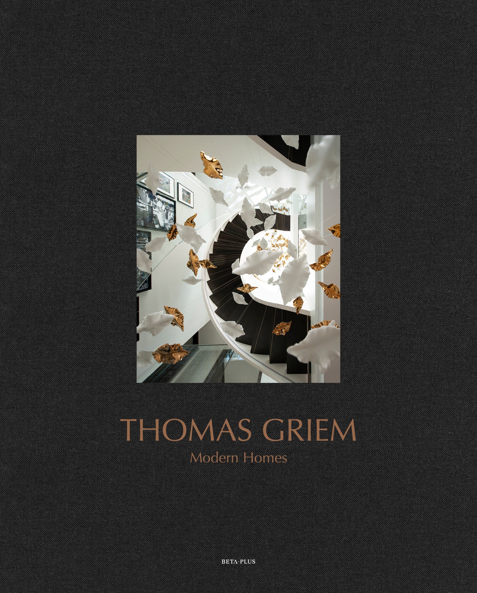Thomas Griem - Modern Homes – Beta-Plus Publishing
